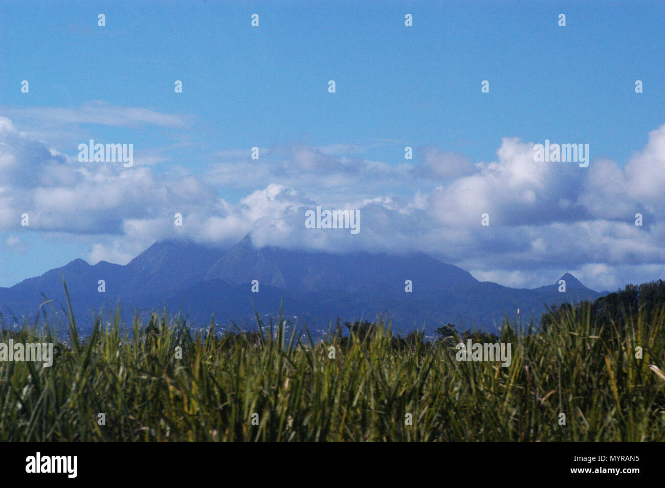 The wonderful island of Martique in Caribbean Stock Photo - Alamy