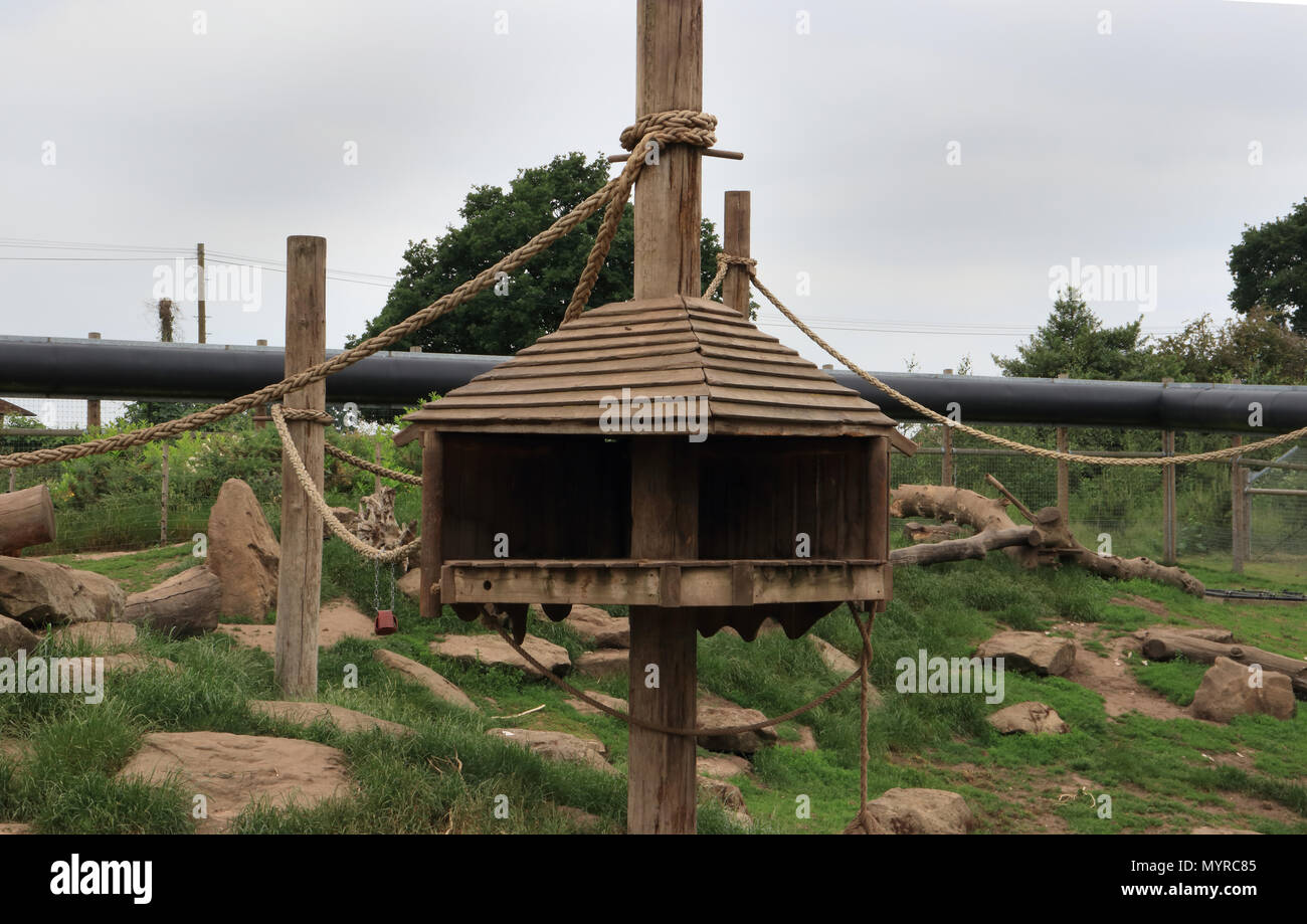baboon enclosure, Yorkshire Wildlife Park, Branton,Doncaster, South ...