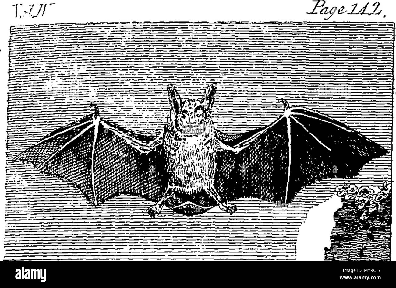 . English: Fleuron from book: An history of the earth, and animated ...