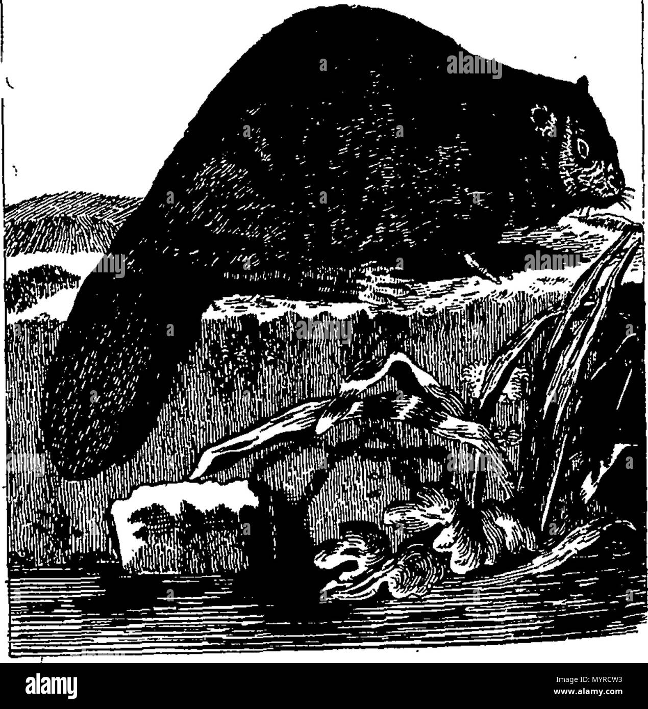 Vintage book in third hi-res stock photography and images - Alamy