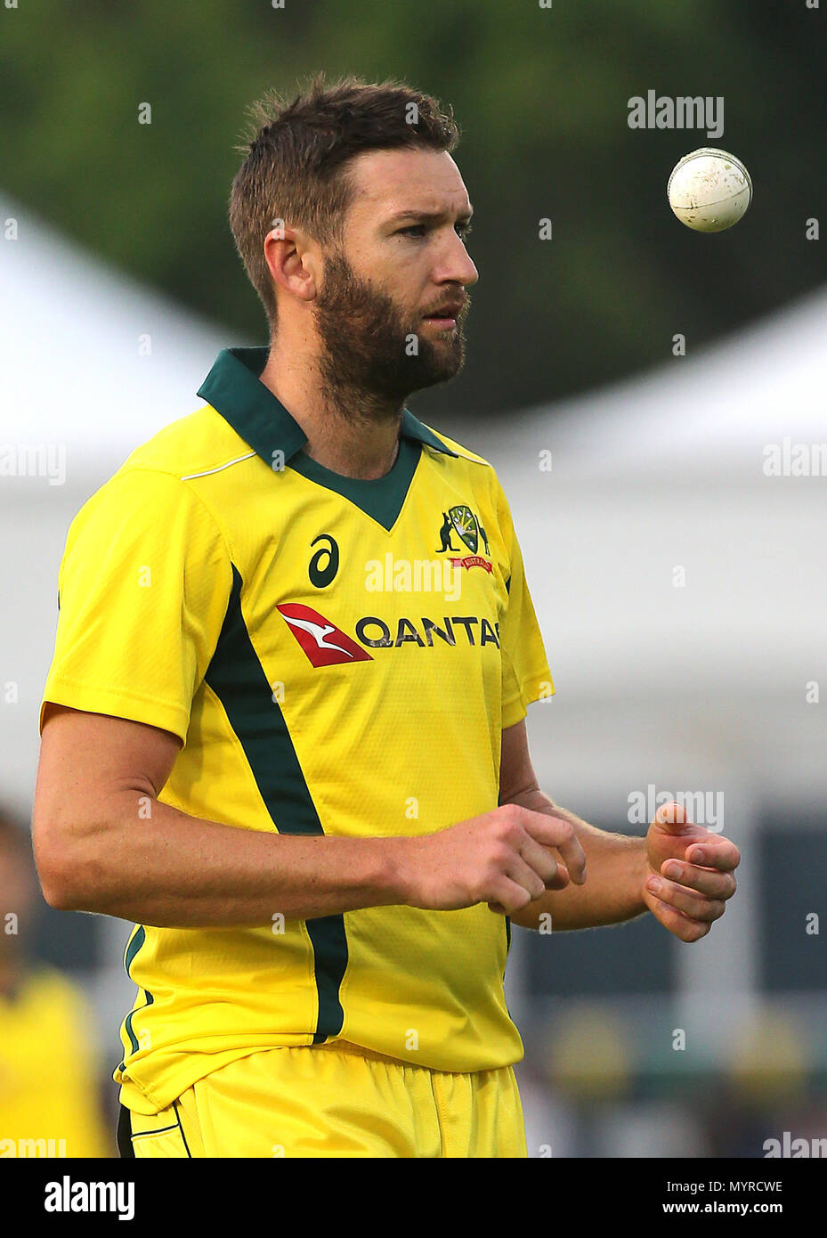 Australias andrew tye hi-res stock photography and images - Alamy