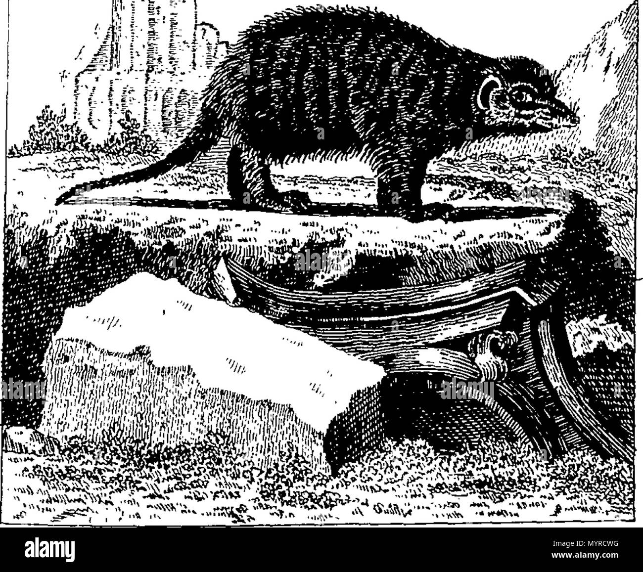 Animated interaction Black and White Stock Photos & Images - Alamy