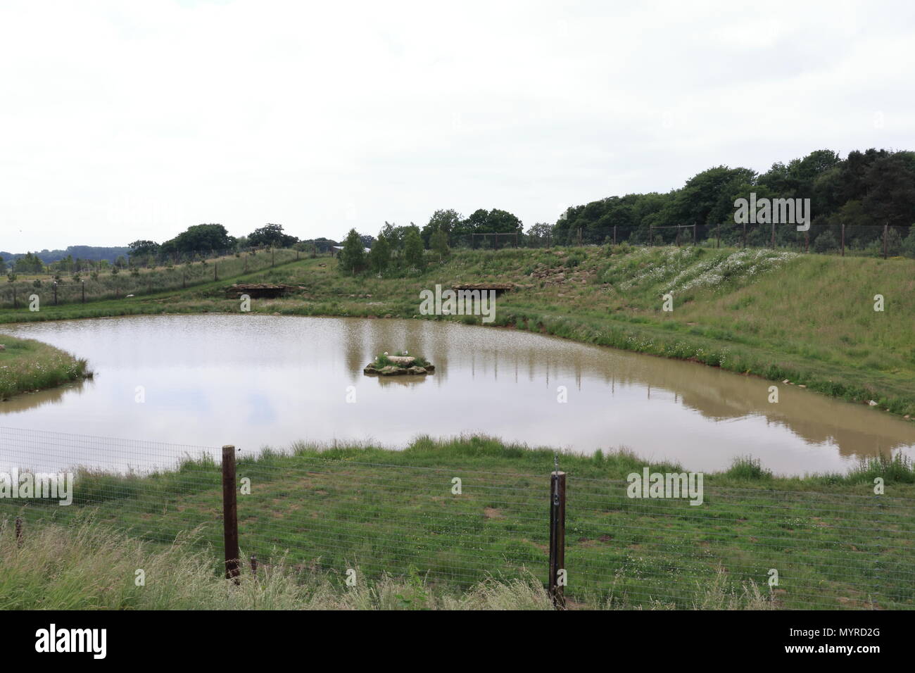 polar bear enclosure, Yorkshire Wildlife Park, Branton,Doncaster, South ...