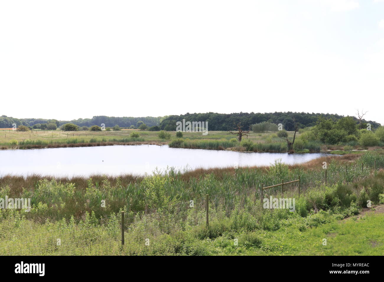 Yorkshire Wildlife Park, Branton,Doncaster, South Yorkshire, UK Stock ...