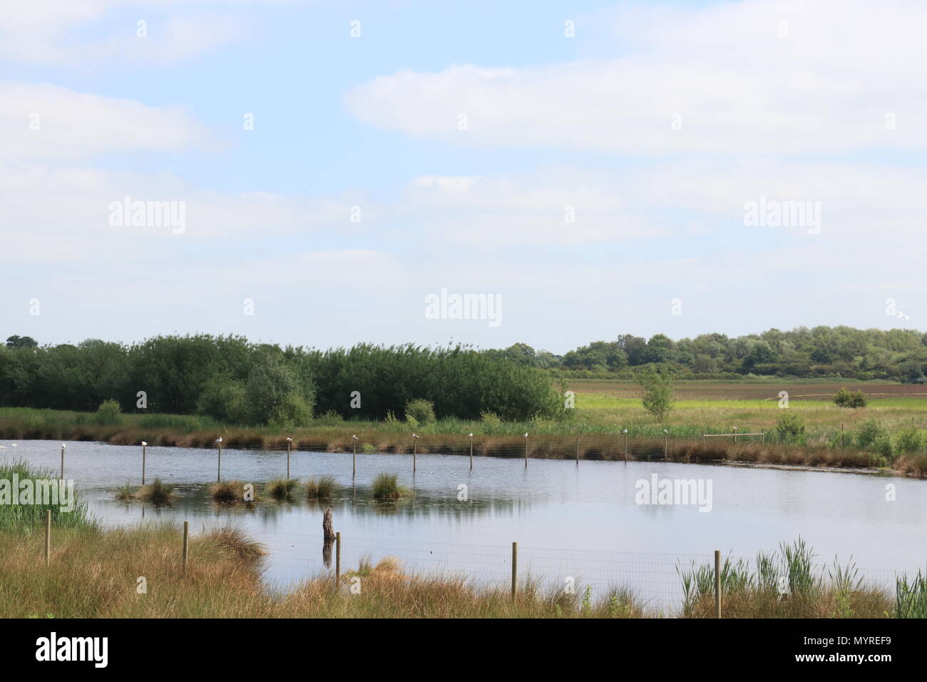 Yorkshire Wildlife Park, Branton,Doncaster, South Yorkshire, UK Stock ...
