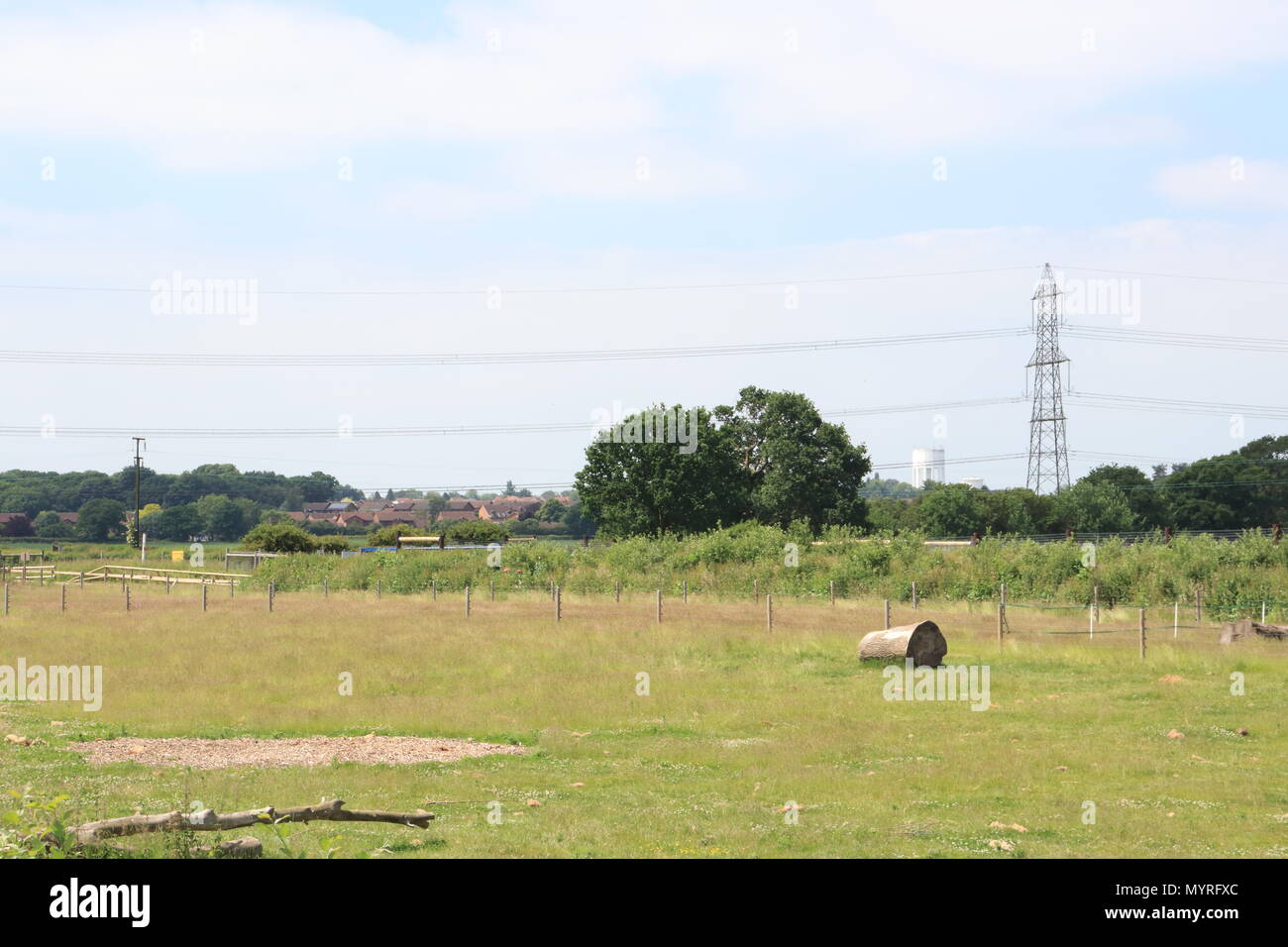 Electricity pylon, Yorkshire Wildlife Park, Branton,Doncaster, South ...