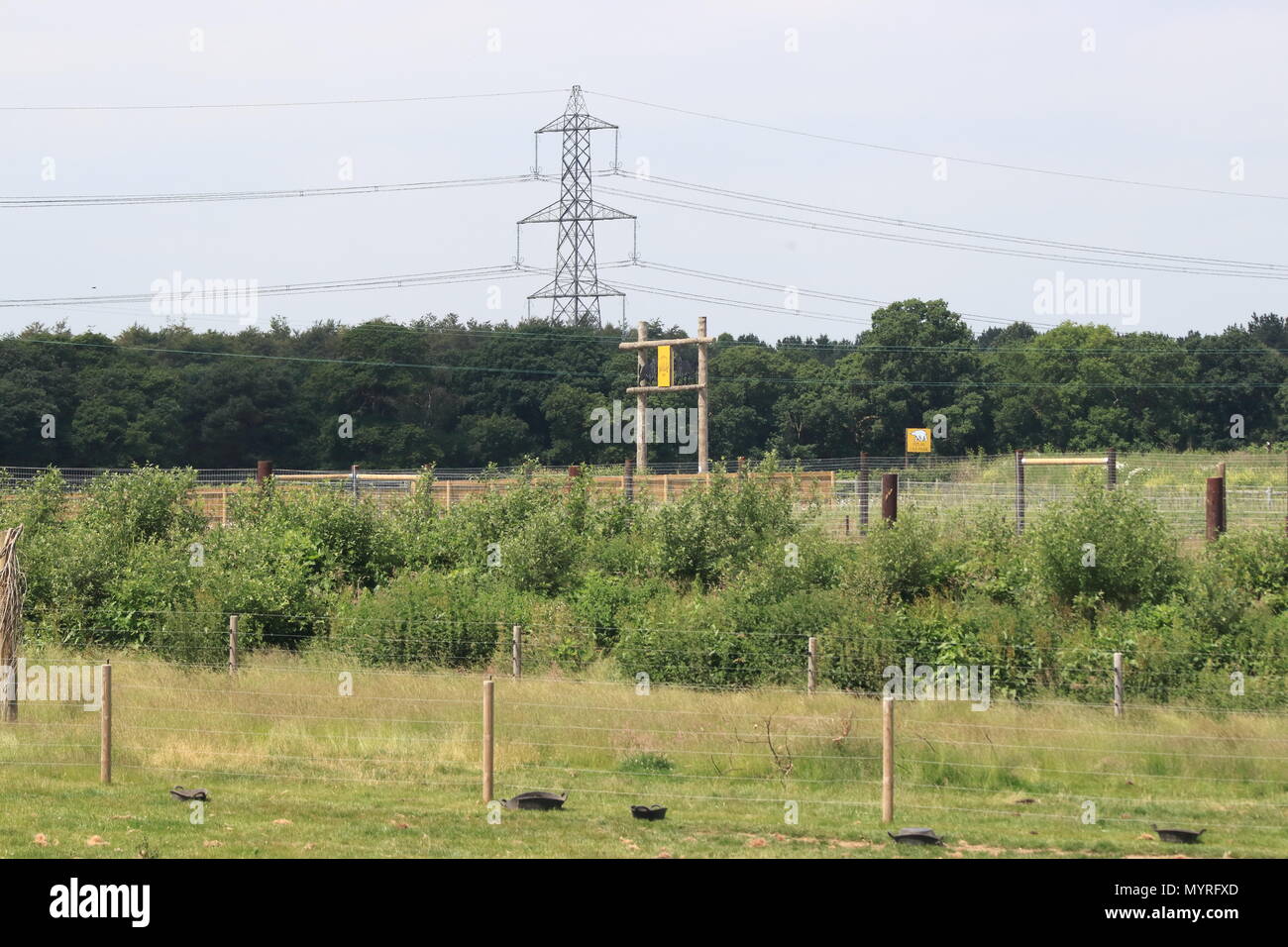 Electricity pylon, Yorkshire Wildlife Park, Branton,Doncaster, South ...