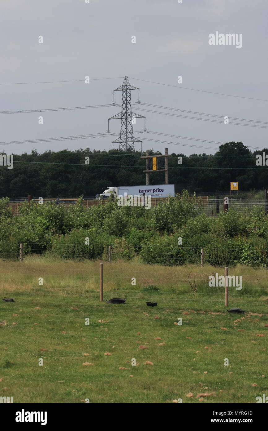 Electricity pylon, Yorkshire Wildlife Park, Branton,Doncaster, South ...