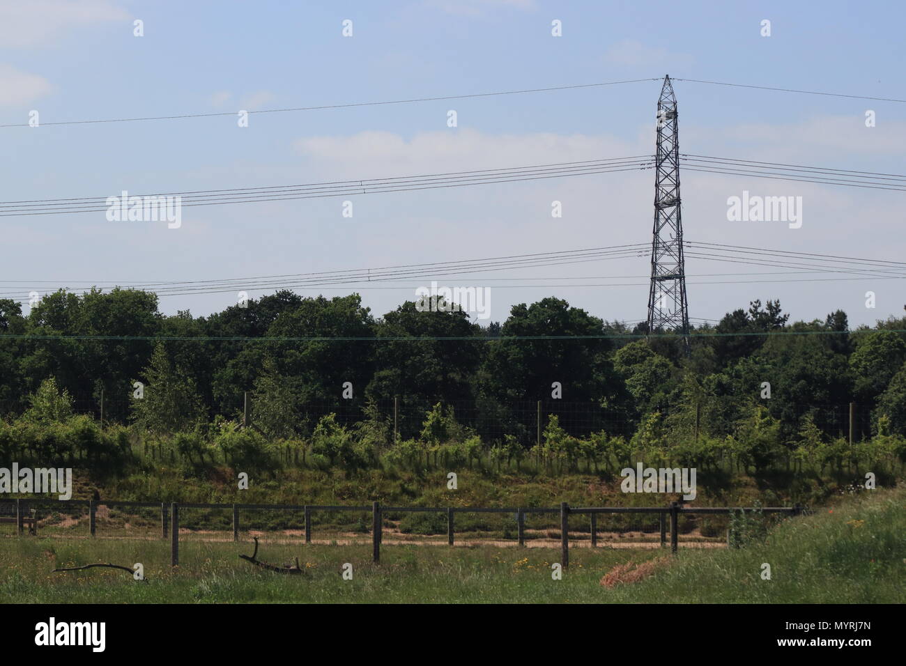 Electricity pylon, Yorkshire Wildlife Park, Branton,Doncaster, South ...