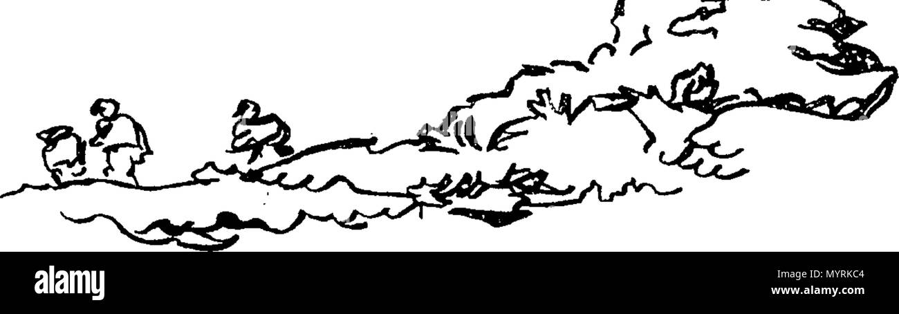 Nature aesthetics image Cut Out Stock Images & Pictures - Alamy