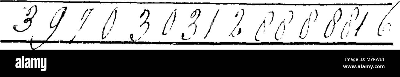 . English: Fleuron from book: An introduction to arithmetic, consisting ...