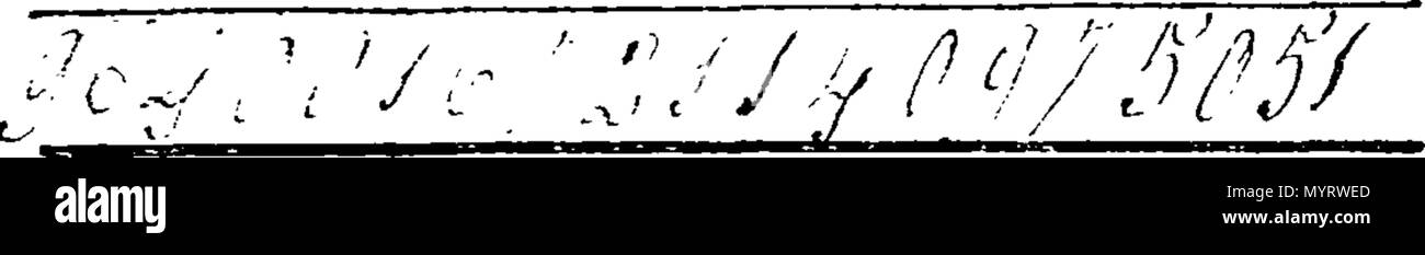 . English: Fleuron from book: An introduction to arithmetic, consisting ...