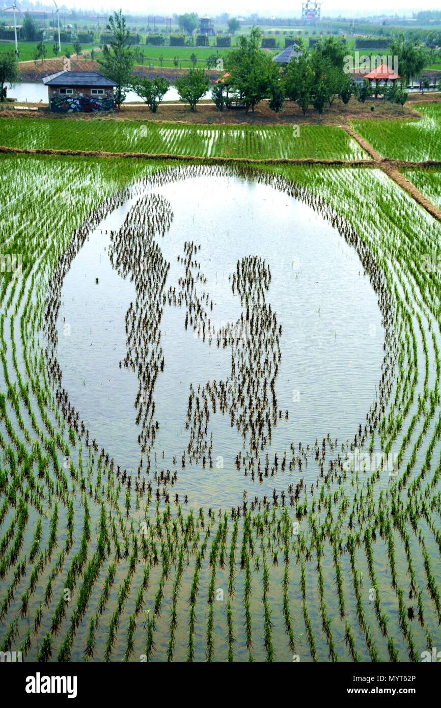 Shenyan, Shenyan, China. 7th June, 2018. Shenyang, CHINA-7th June 2018: Twelve giant 3D ...