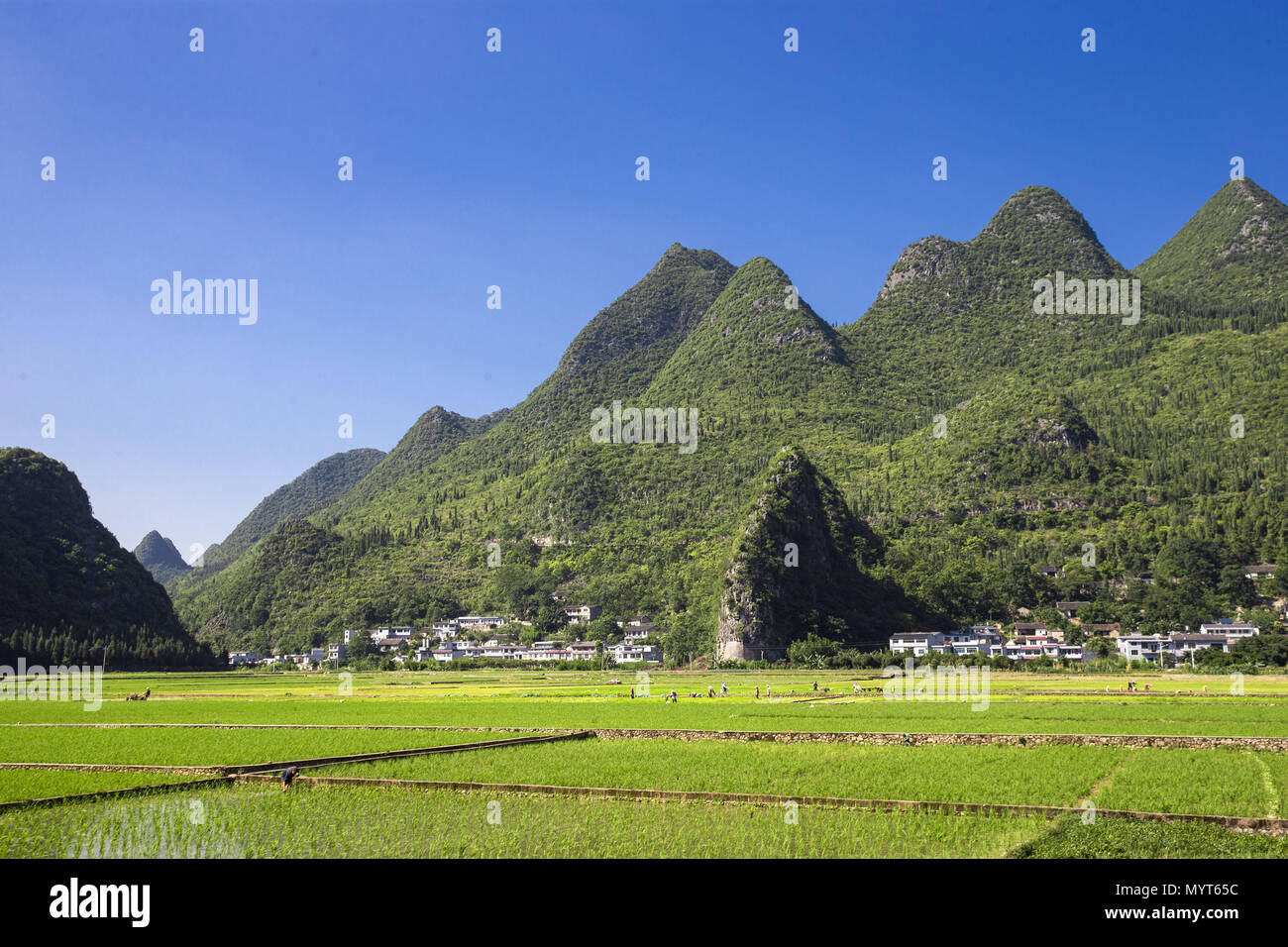 Xingyi, Xingyi, China. 7th June, 2018. Xingyi, CHINA-7th June 2018 ...