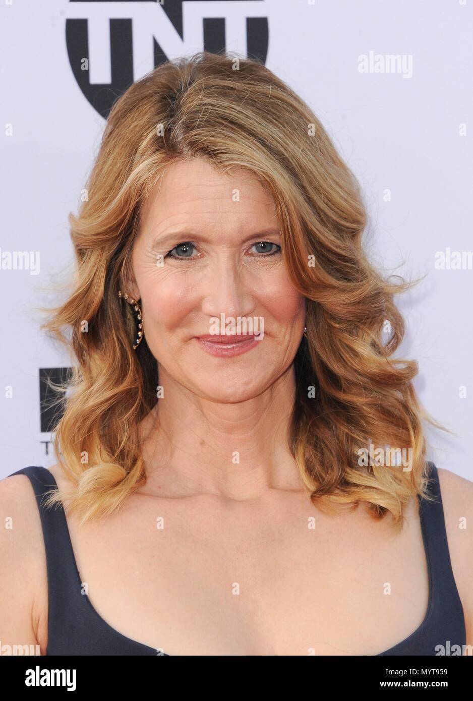 Laura Dern at arrivals for 46th AFI Life Achievement Award Gala Tribute ...