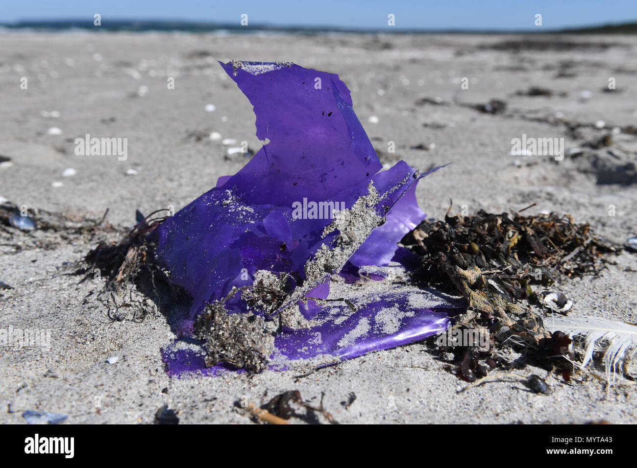 Plastic sheet pollution beach hi-res stock photography and images - Alamy