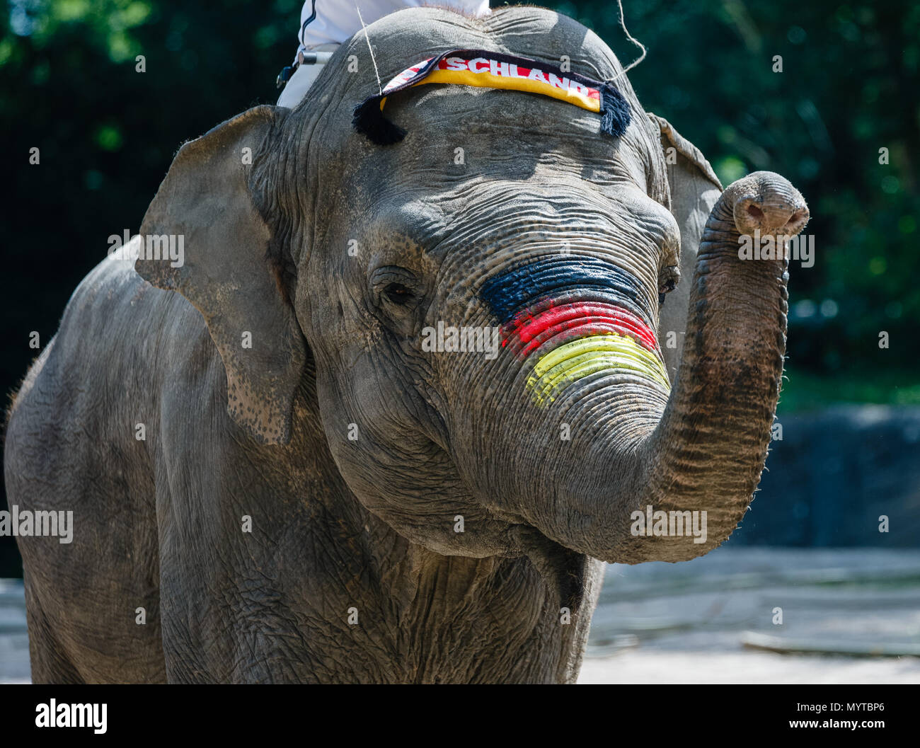 German national colors hi-res stock photography and images - Alamy