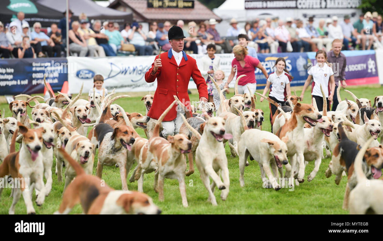 Ardingly hound show 2018 hi-res stock photography and images - Alamy