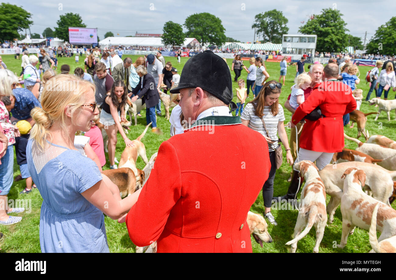 Ardingly hound show 2018 hi-res stock photography and images - Alamy