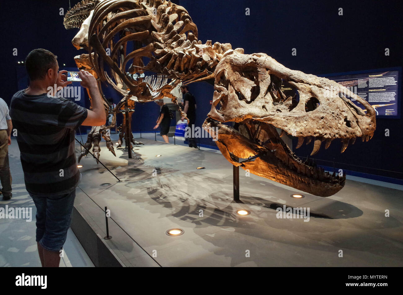 Paris, France. June 7, 2018 - Paris, France: A genuine Tyrannosaurus ...