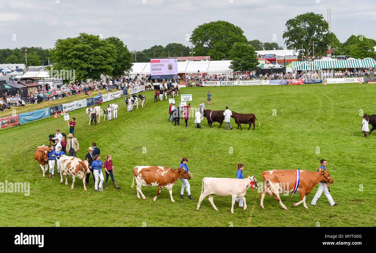 Live animal stock photograph hi-res stock photography and images - Alamy