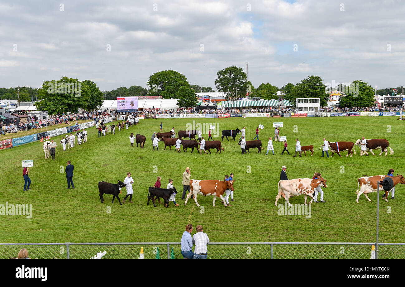 Ardingly showground hi-res stock photography and images - Alamy