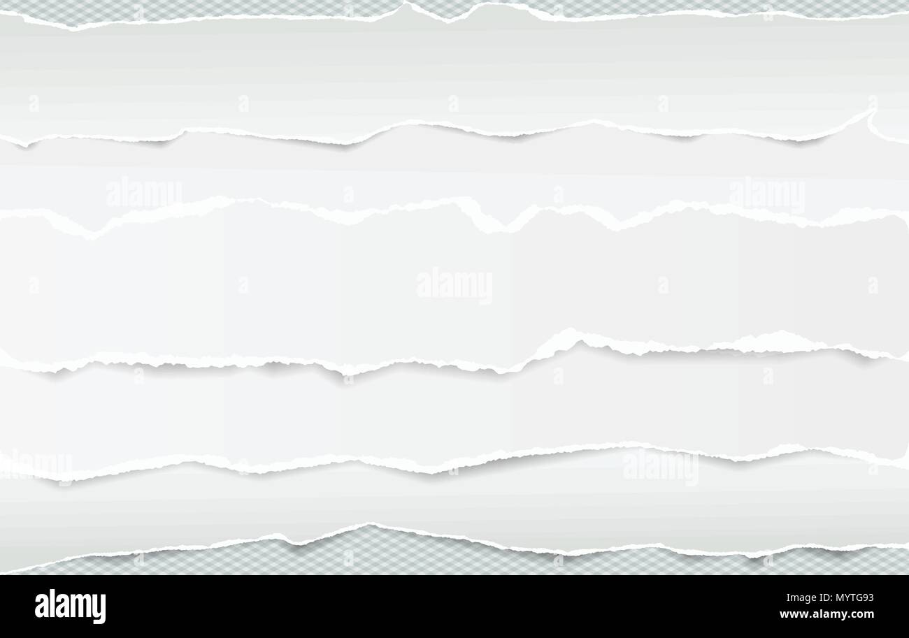 White oblong paper strips placed one over another with torn edge in ...