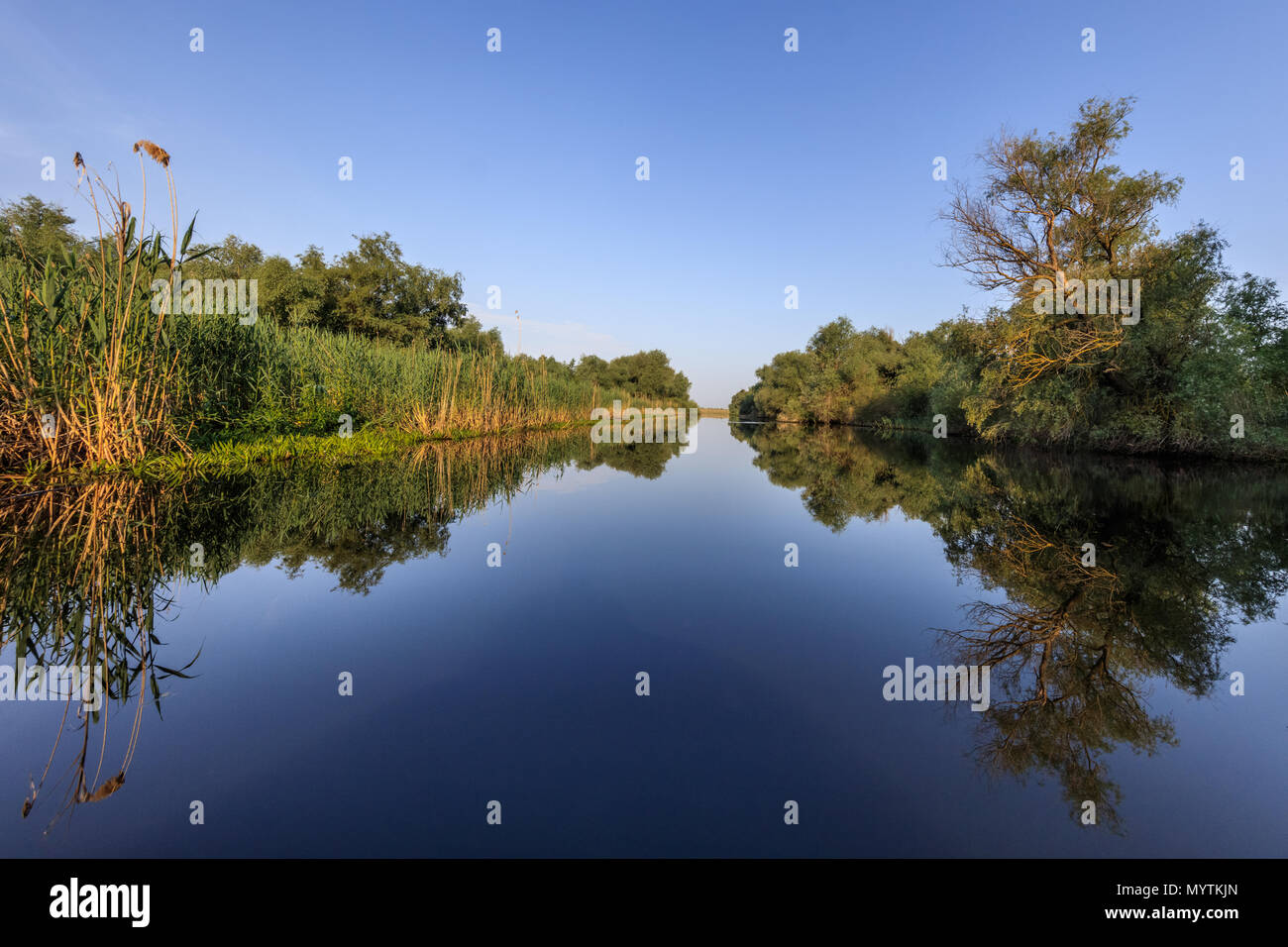 landscape in the Danube Delta, Romania, Europe Stock Photo - Alamy