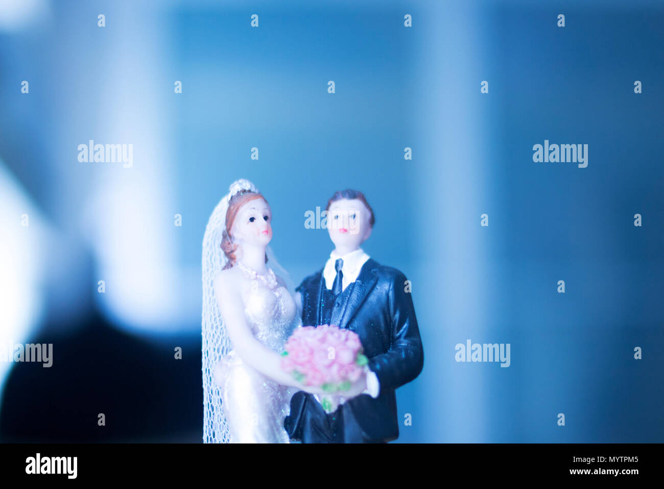 Wedding couple marriage cake topper plastic figures with tuxedo evening ...