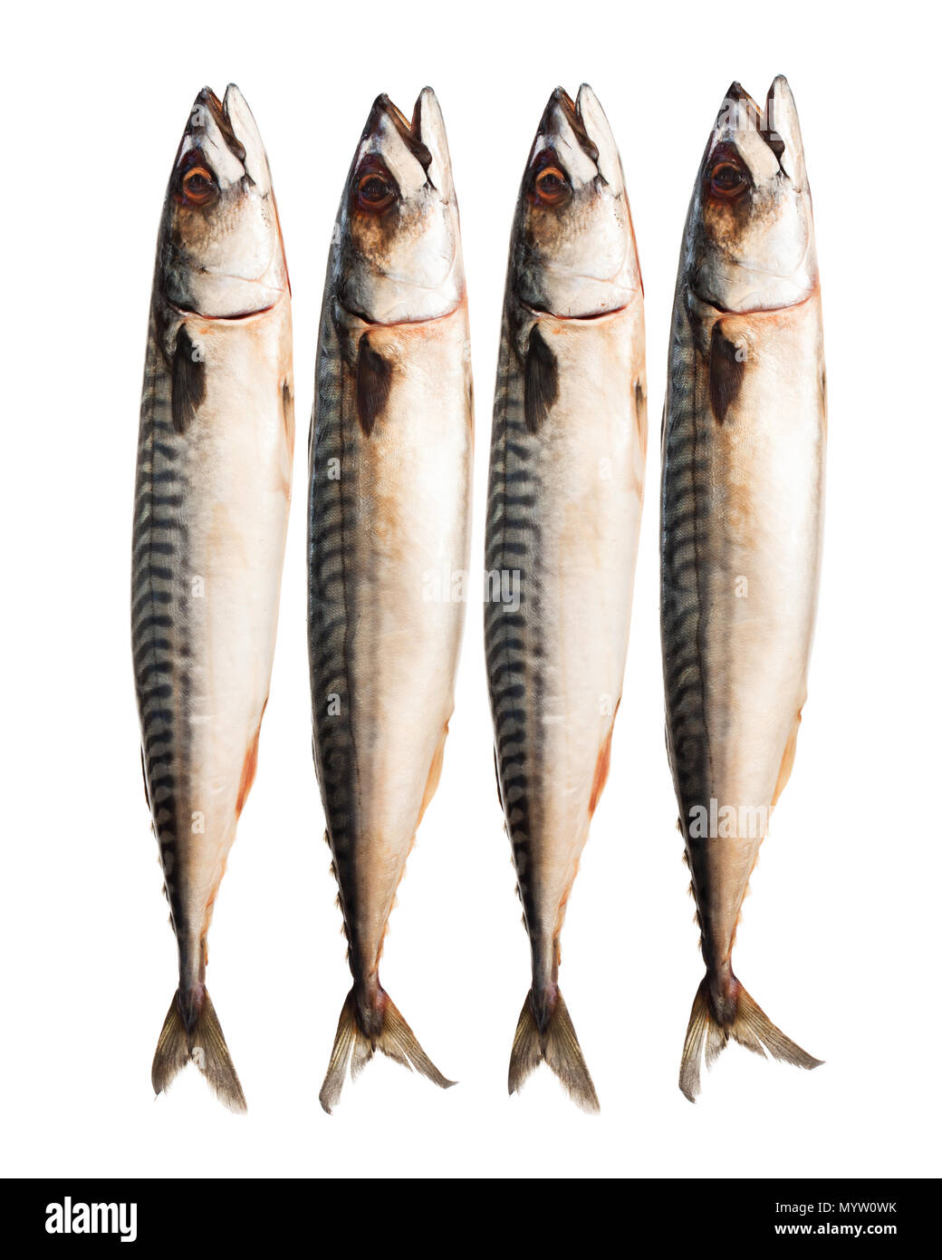 Mackerels on a fish market hi-res stock photography and images - Alamy