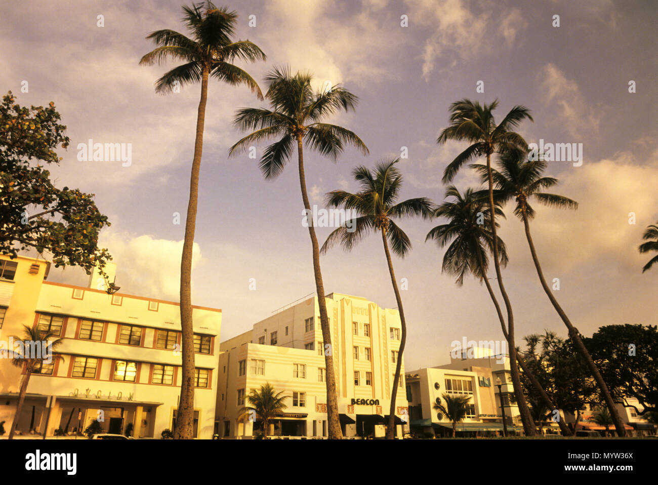 1992 HISTORICAL TALL PALM TREES ART DECO HOTELS OCEAN DRIVE SOUTH BEACH ...