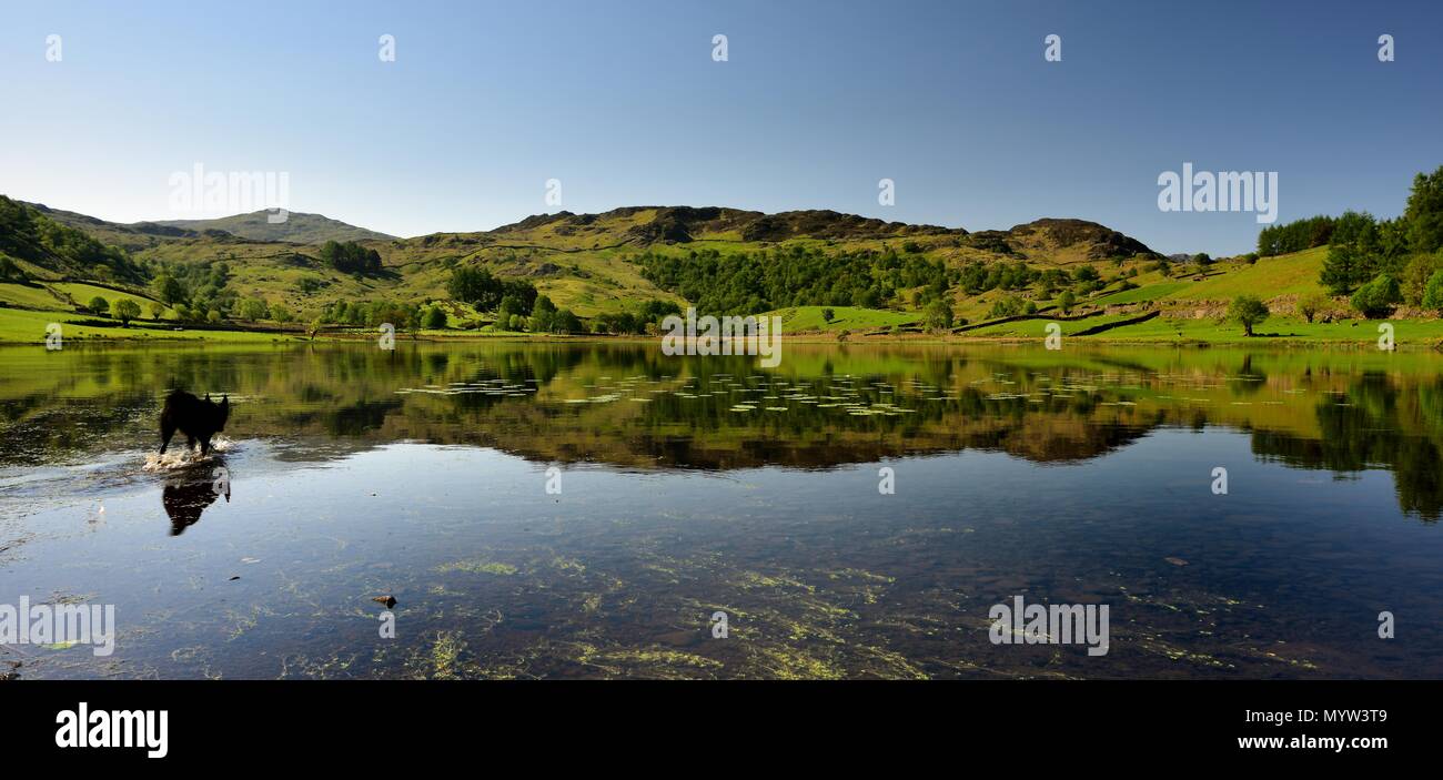 Watendlath farm hi-res stock photography and images - Alamy