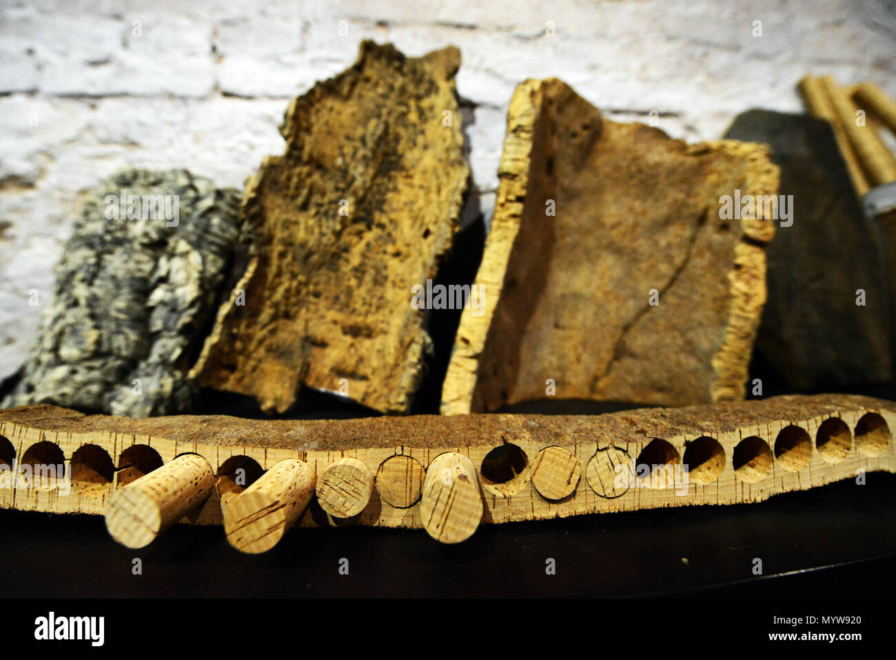 Bark of the cork oak tree used for making corks Stock Photo - Alamy
