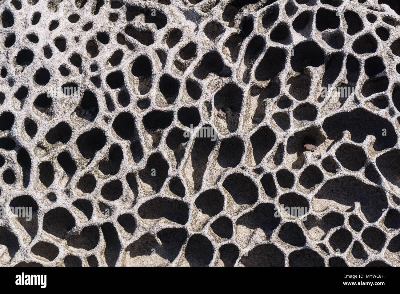 An interesting erosion pattern in rock by the sea Stock Photo - Alamy
