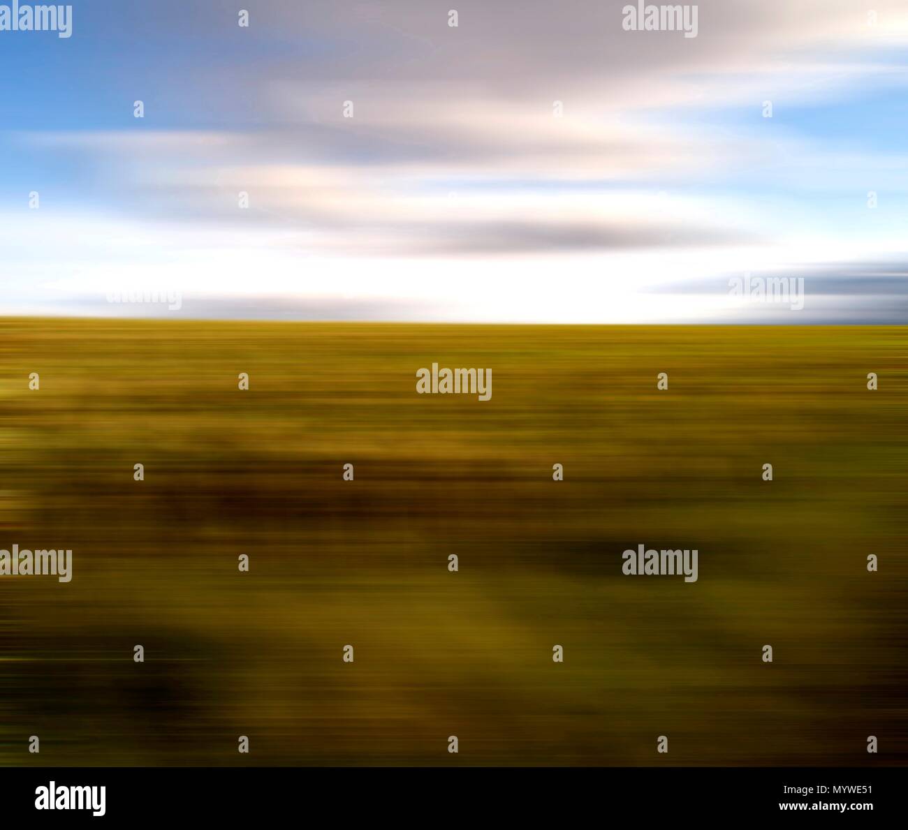 Blurred field of wheat Stock Photo - Alamy