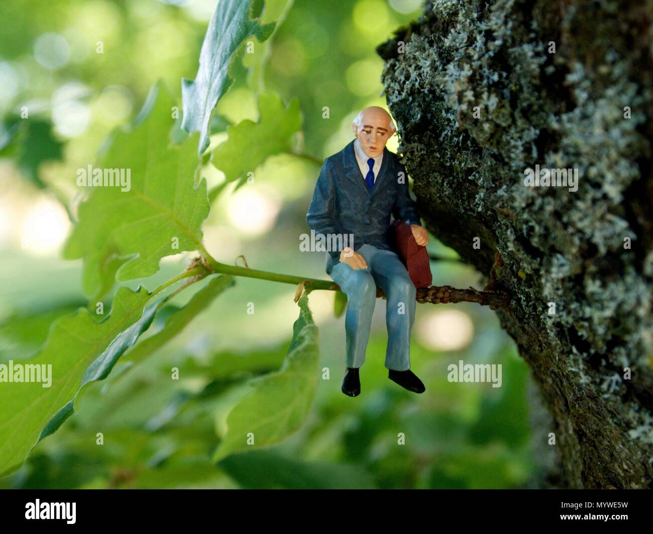 Retirement figurine on a branch Stock Photo - Alamy