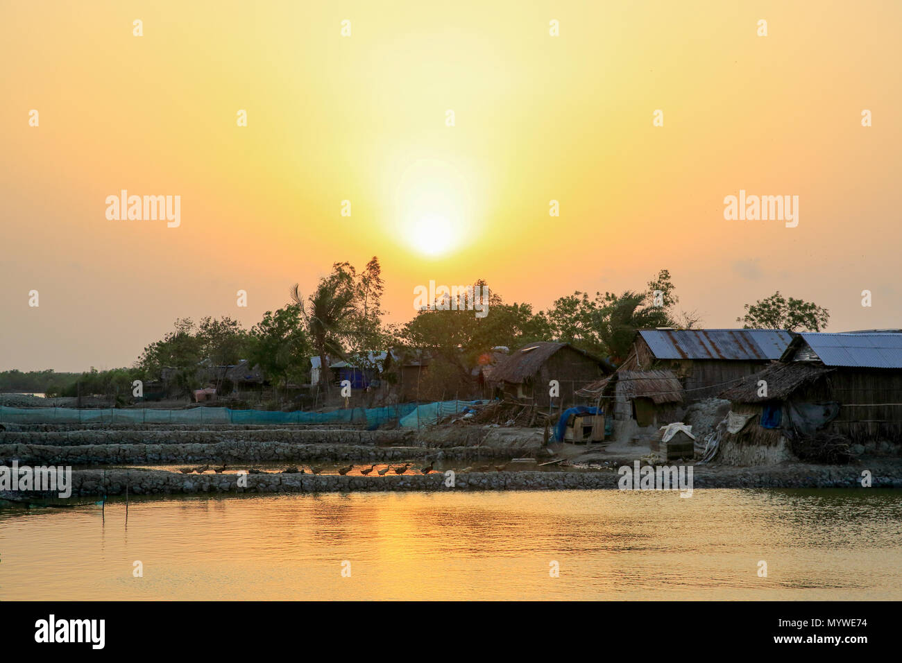 View of a desiccated floodplain at Gabura union in Shyamnagar Upajila ...