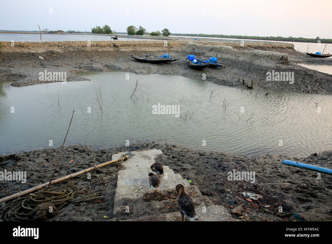 View of a desiccated floodplain at Gabura union in Shyamnagar Upajila ...