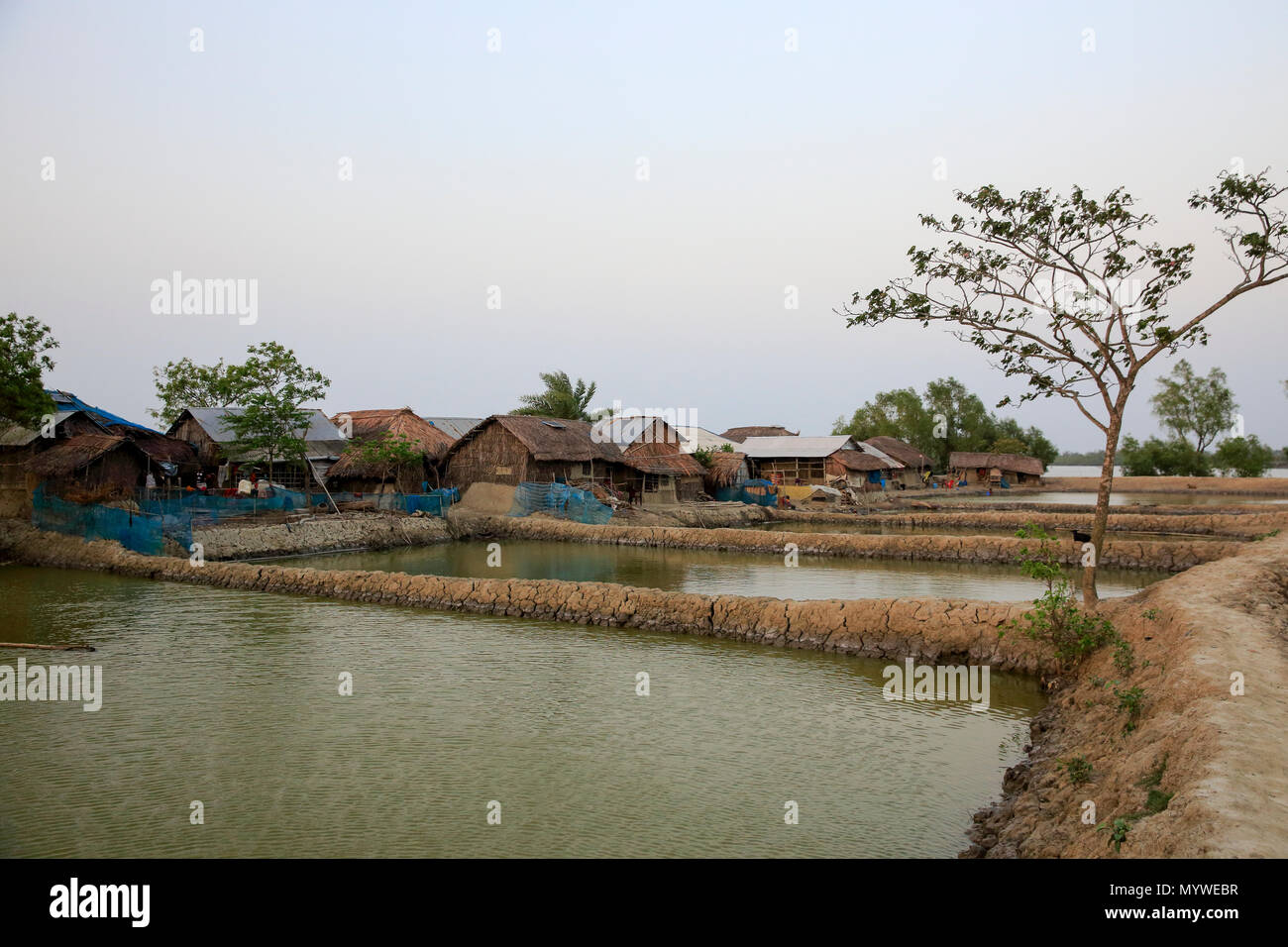 View of a desiccated floodplain at Gabura union in Shyamnagar Upajila ...