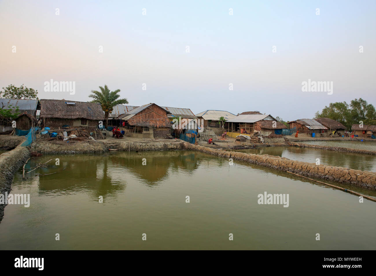 View of a desiccated floodplain at Gabura union in Shyamnagar Upajila ...