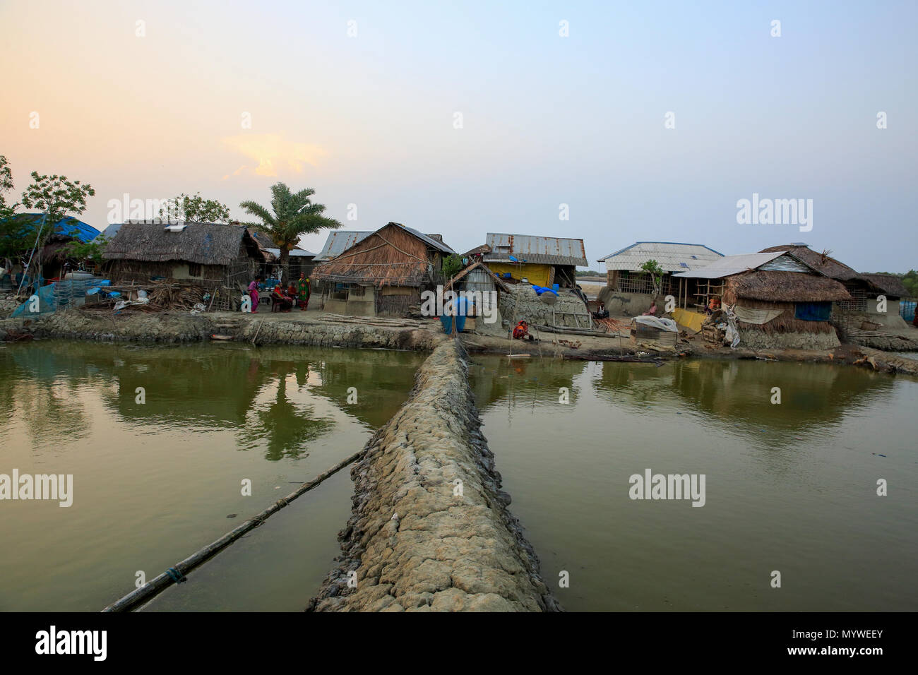 View of a desiccated floodplain at Gabura union in Shyamnagar Upajila ...