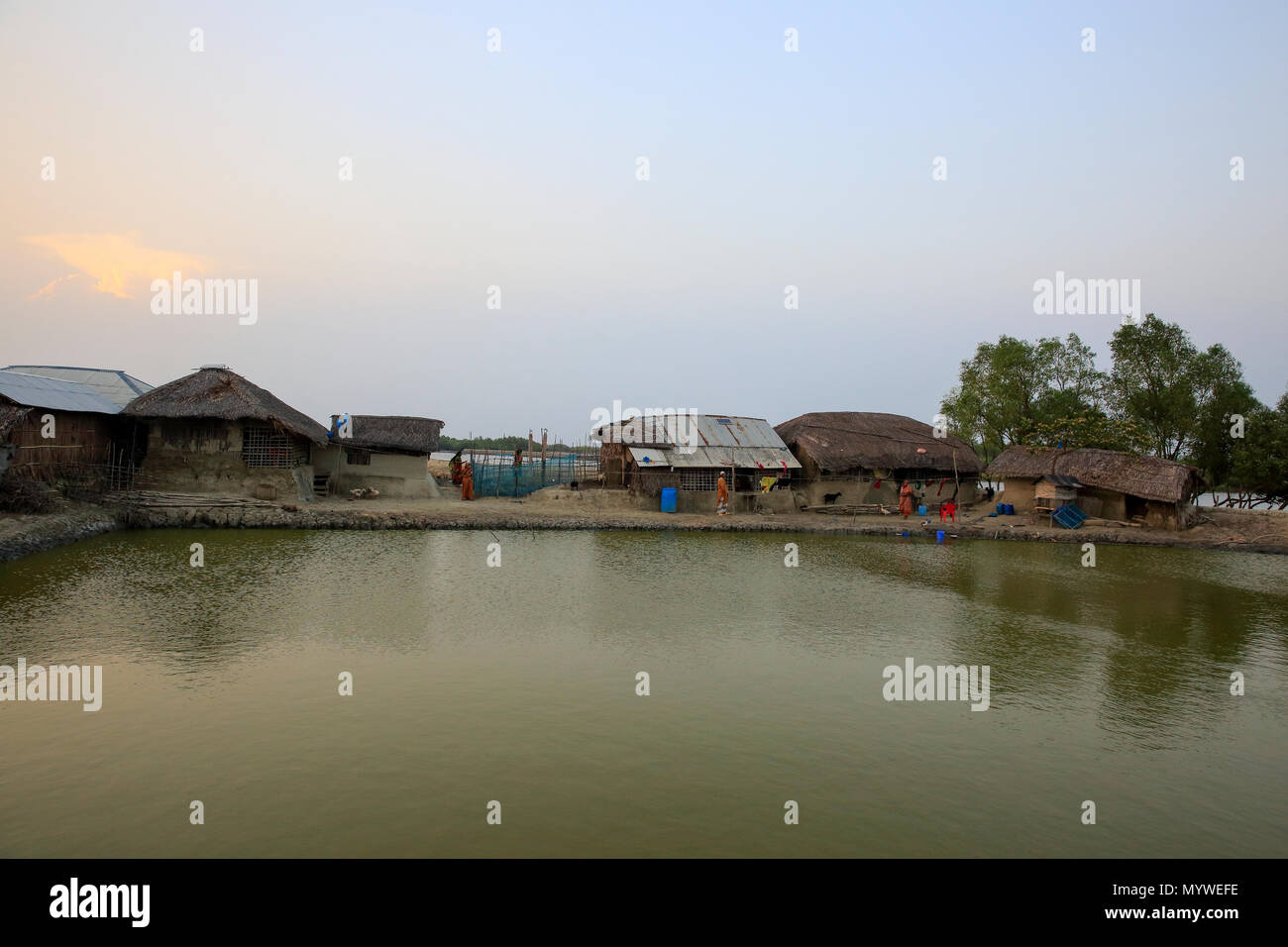 View of a desiccated floodplain at Gabura union in Shyamnagar Upajila ...