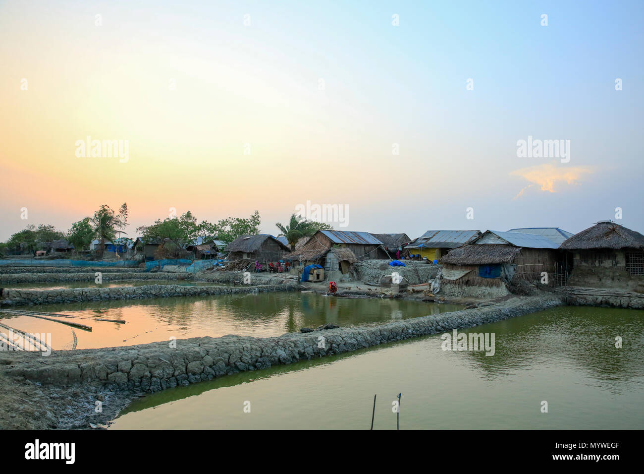 View of a desiccated floodplain at Gabura union in Shyamnagar Upajila ...