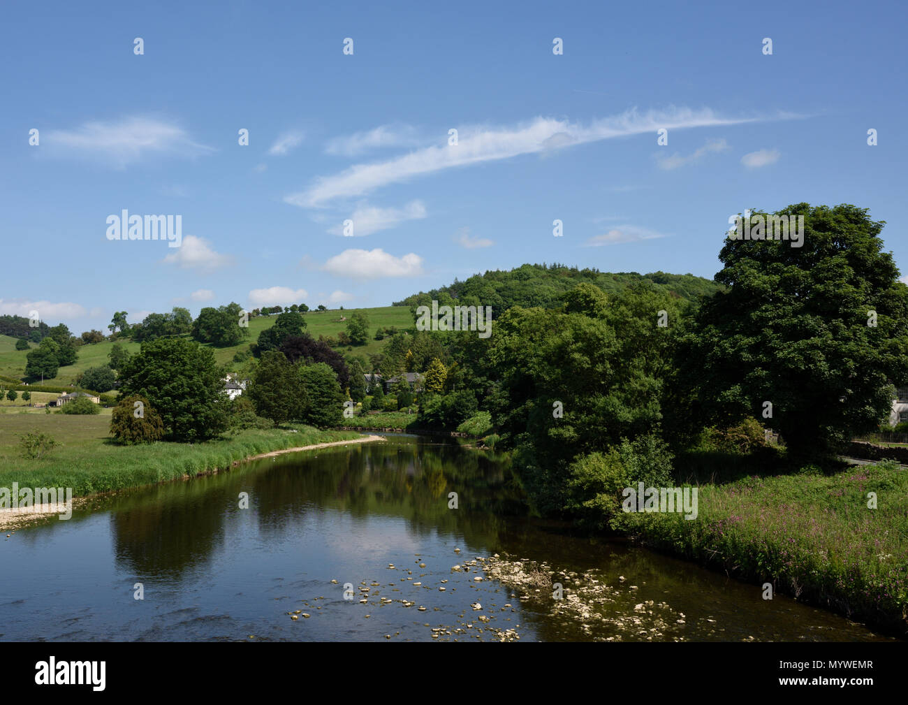 River ribble in Sawley with trees and blue sky and summer sunshine in ...