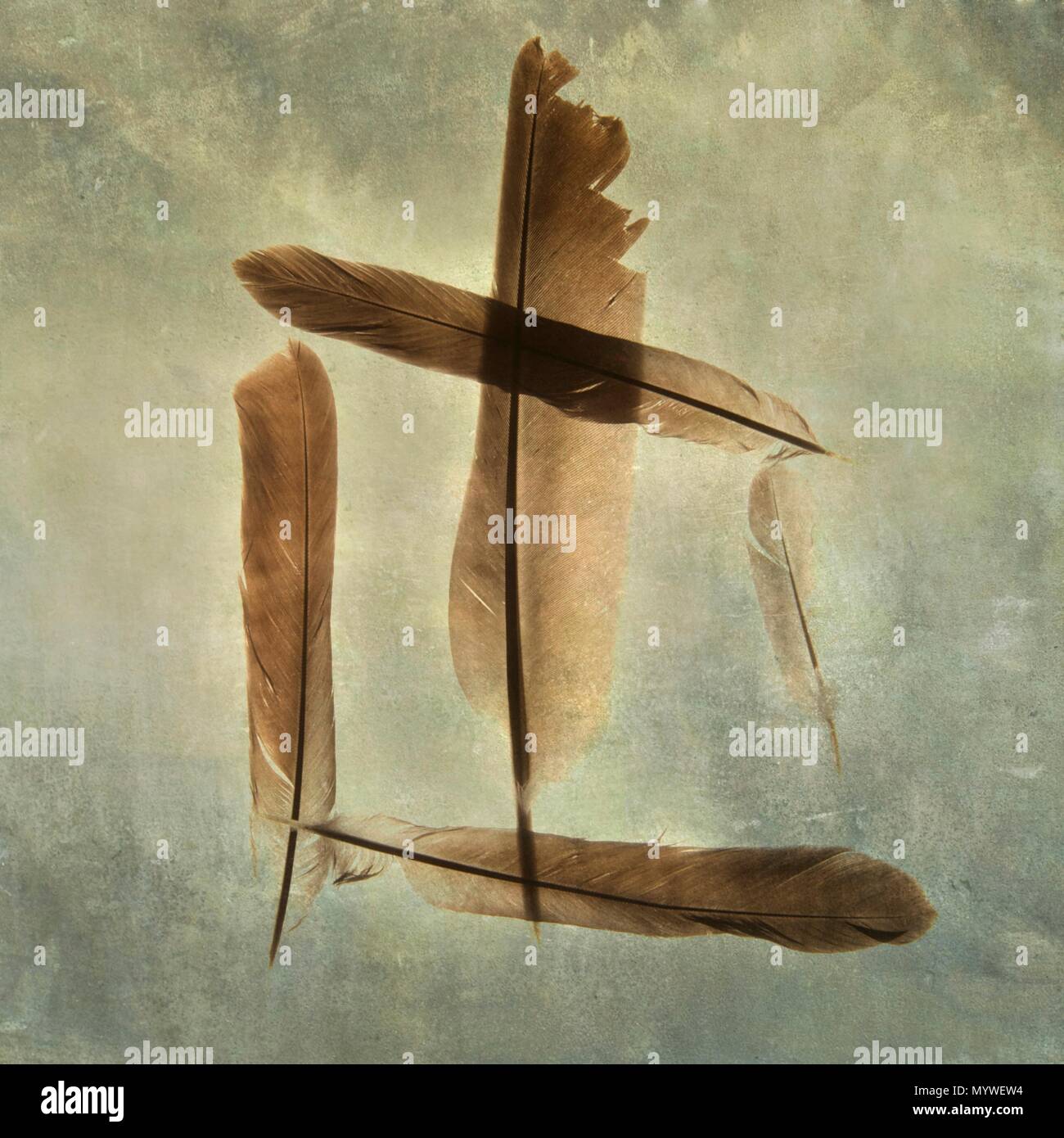 Five feathers hi-res stock photography and images - Alamy