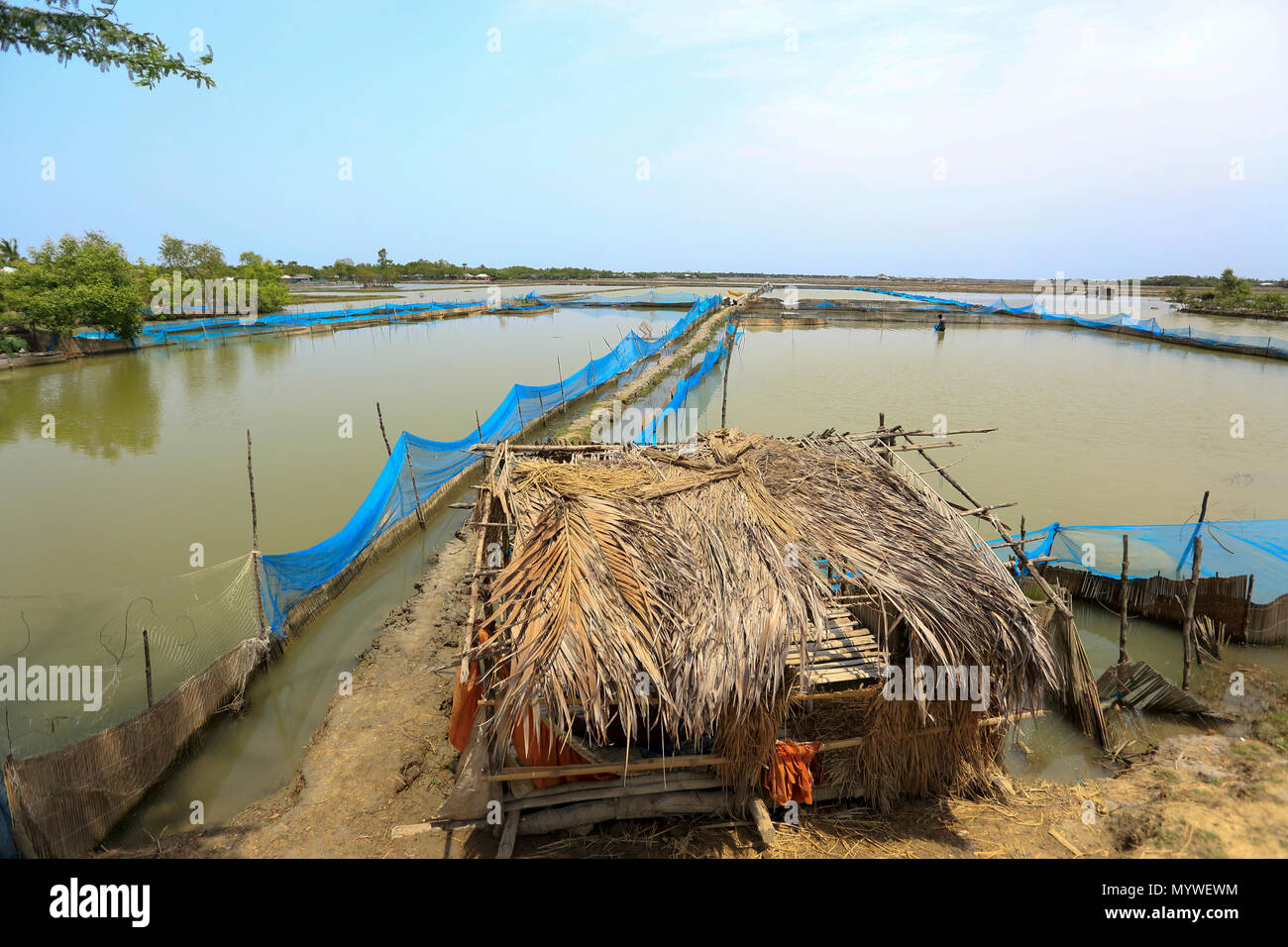 View of a desiccated floodplain at Gabura union in Shyamnagar Upajila ...