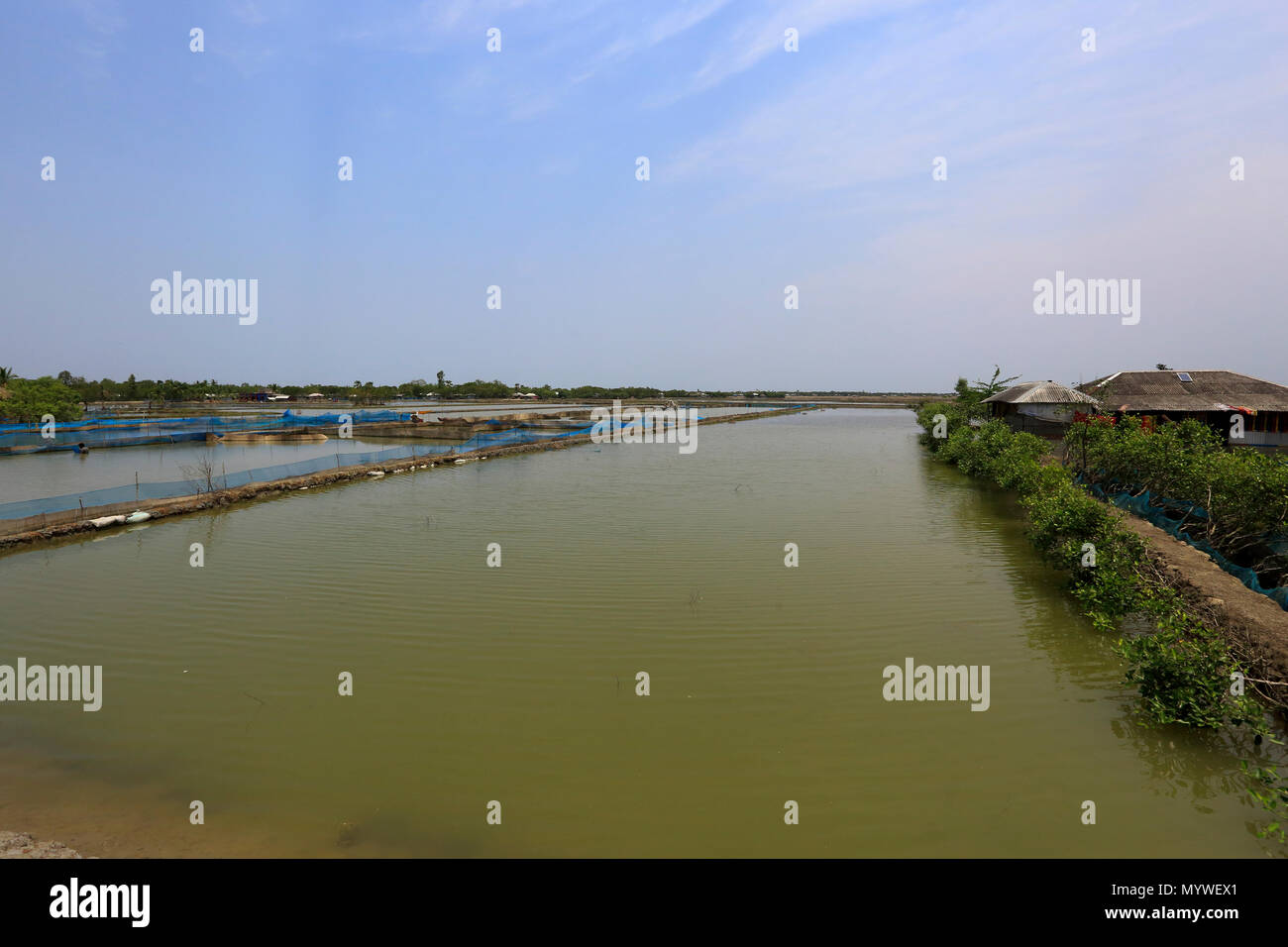 View of a desiccated floodplain at Gabura union in Shyamnagar Upajila ...