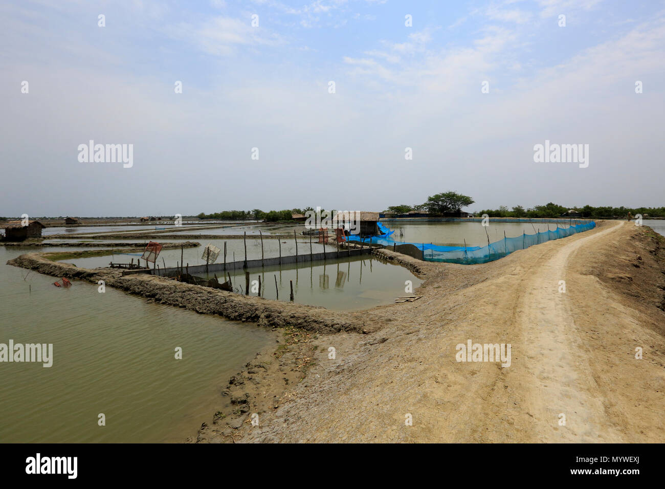 Gabura shrimp hi-res stock photography and images - Alamy