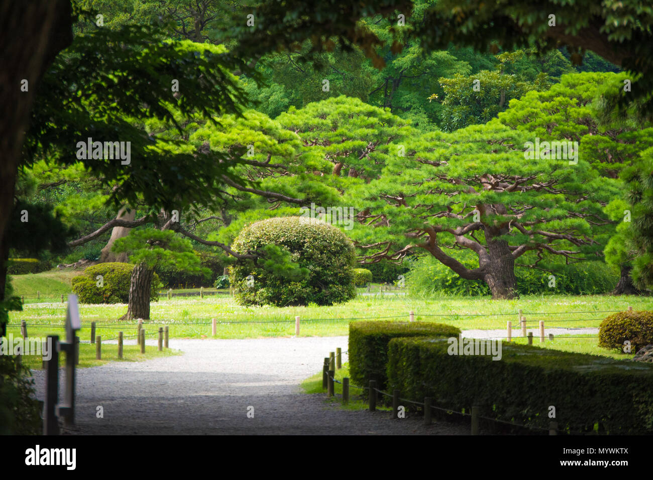Tokyo, Japan - 22 July 2017: The Hamarikyu Gardens (Hama-rikyu Onshi ...