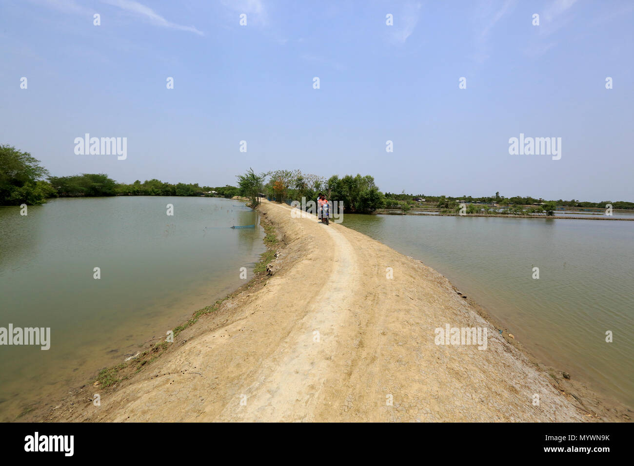 View of a desiccated floodplain at Gabura union in Shyamnagar Upajila ...